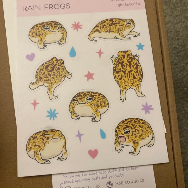 Desert Rain Frogs Sticker Sheet | Rain Frogs, Cute Animal Stickers ...