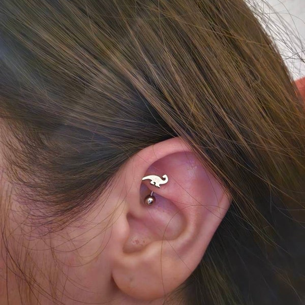 16G Little Vintage Bug Piercing #rook, Curved Barbell Cartilage ...