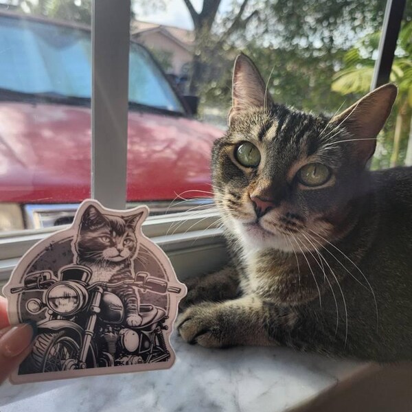 Motorcycle Car Magnet Cat on Motorcycle Car Magnet Gift for Biker ...
