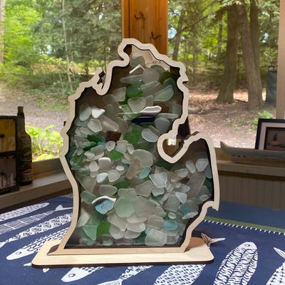 Dolphin Shadow Box for Agates, Beach Glass, Crystals, Shark Teeth, Etc ...