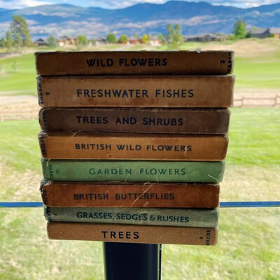 Observer Five Book Green Collection - Etsy