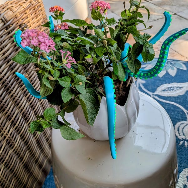 Octopus Tentacles Planter Decorations - Set of 8. House Plant Decor - Etsy