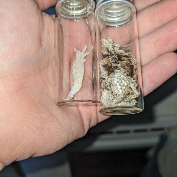 Small Oddities Mystery Box - Etsy