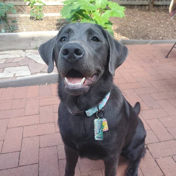 Arizona Iced Tea Keychain arizona Keychain, Green Tea Keychain, Mucho ...