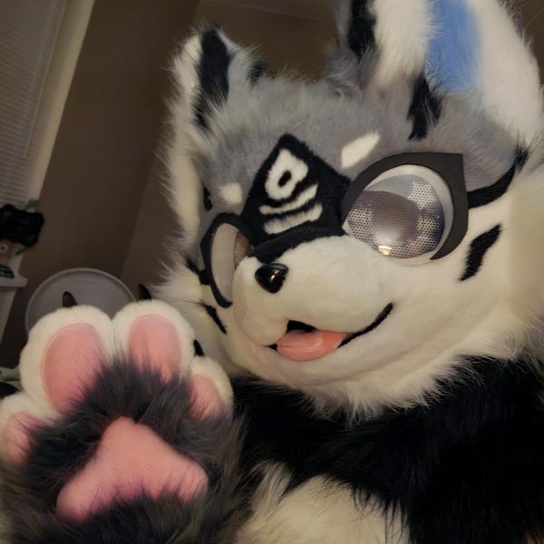 Fursuit, Custom Fursona, Full Personalized Fursuit Maker, Faux Fur, Kemono Commission, Persona ...