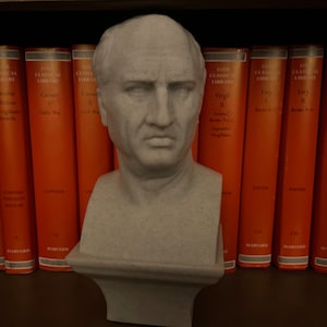 Vitellius Imperator Augustus Bust Statue of the Roman - Etsy