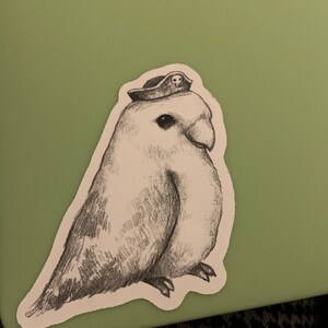 Fat Little Toad Sketch Drawing Illustration 8.5 X 11 Animal Art Print ...