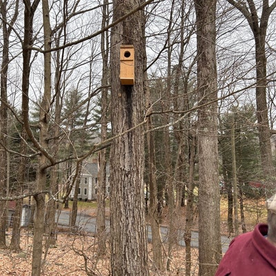Barred or Great Horned Owl Nesting Box Made of Pine and Cedar - Etsy