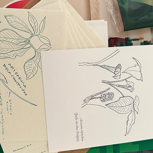 Flash Cards to Learn Native Plant Names, Learn Native Plants of the ...