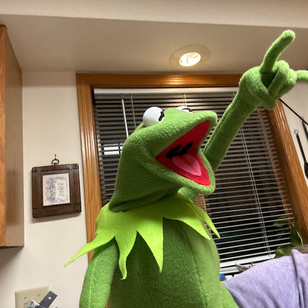 Kermit’s Cousin Professional Hand and Rod Puppet Replica - Etsy