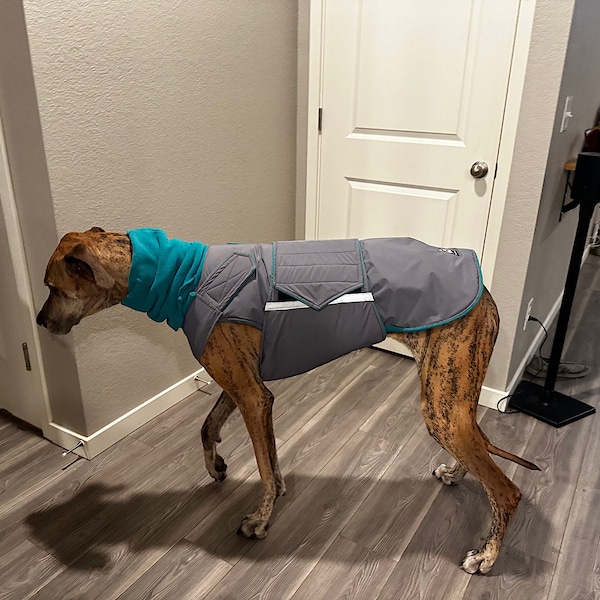 Great Dane Extra Warm Winter Dog Coat - Dog Jacket With Underbelly ...