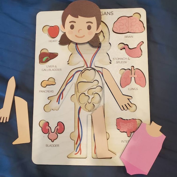Montessori Toys, Human Body Puzzle, Toddler Toys Wooden Human Puzzle ...