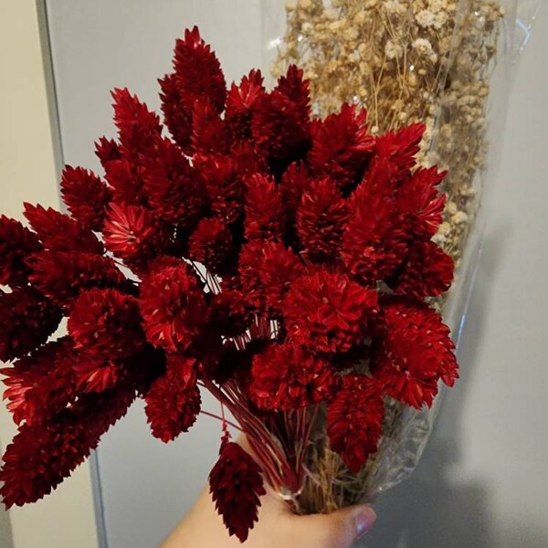 Baby's Breath, Gypsophila Preserved Yellow Color, Dried Flowers, Dried ...