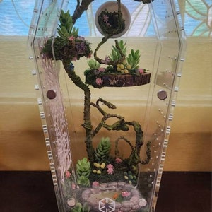 JC Decorated Hexagon Enclosures - Etsy