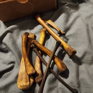 Aged Bone Set for Divination Throwing Bones Set Bones for Craft Bones ...