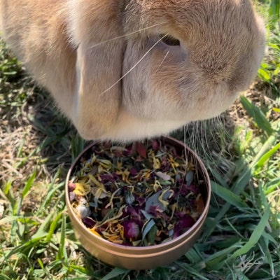 Custom Felt Pennant Flag Personalized Name - Etsy