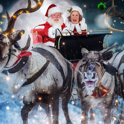 Christmas Digital Smiling Reindeer Flying Reindeer Games Funny ...