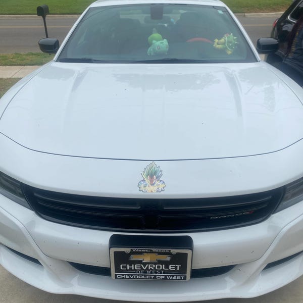 3D Lenticular Anime Sticker Decal Changing Moving Flip Motion Peeker ...