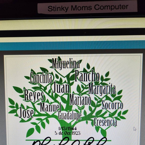 Family Tree Svg Bundle 1-20 Members, Tree of Life Svg, Family Reunion ...