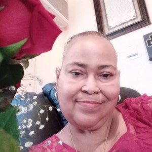 POMEGRANATE FLOWER Themed Professional Women's Clogs, Comfortable ...