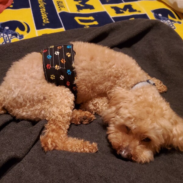 Male Dog Belly Band Sewing Pattern Xxsm–xxlg – PDF DIY Diaper Wrap for ...