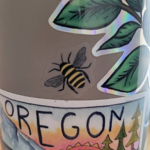 Monstera Adansonii Sticker Swiss Cheese Plant Sticker Clear - Etsy