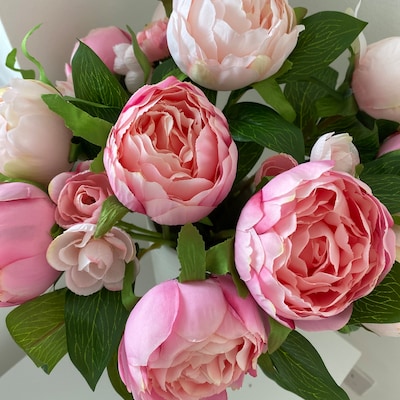 5 X Deep Burgundy / Bordeaux Red Silk Peony Flowers & Buds - Etsy