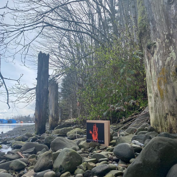 STRANGE FAMILIARS Podcast Awoken Tree Logo T-shirt Paranormal Fortean ...