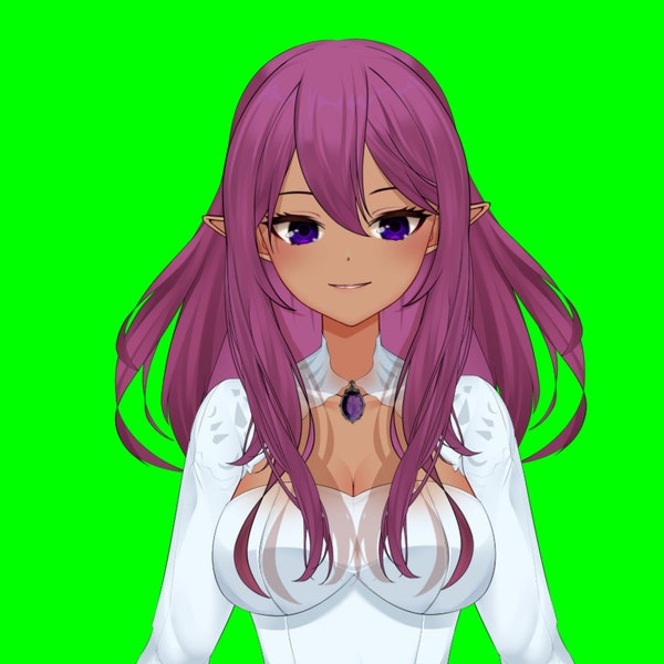 Customizable Vtuber/premade Live 2D Vtuber Model Cute Elf Anime Girl ...