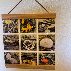 Picture Hanger Frame Magnetic Wood 12 Sizes | Etsy