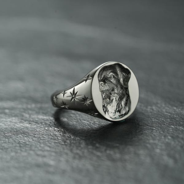 Custom Pet Signet Ring, Pet Memorial Ring, Dog Memorial, Pet Keepsake ...