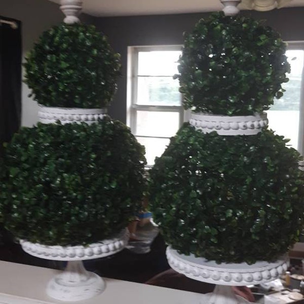 27.5" Baby Cosmos Spray X5 Blue - Etsy