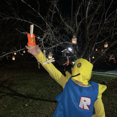 Roblox Costume HEAD BODY CUSTOM Made to Order - Etsy