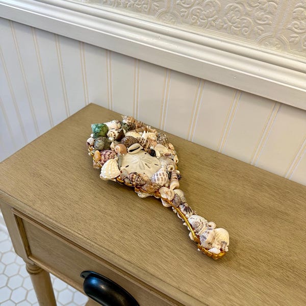 Pearl Shell Display - Etsy