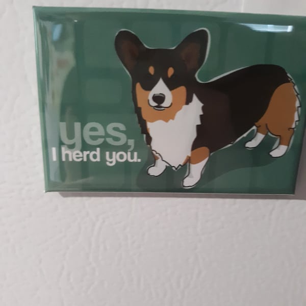 Tri Color Corgi Magnet – Funny Dog Fridge Magnets – Tricolor Corgis ...