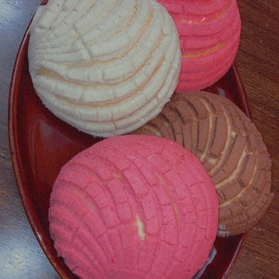 Classic Concha Mold Sweet Mexican Bread Pan Dulce Cookie Cutter Baking ...