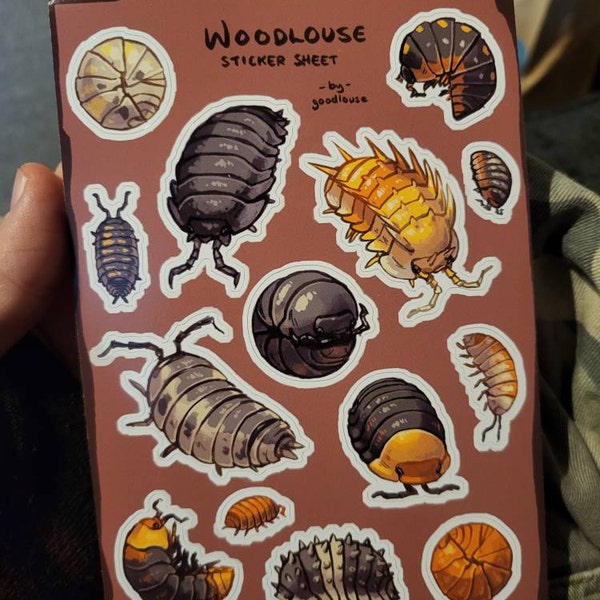 PREORDER Idw/archie Sonic Charms | Sally, Scourge, Tangle, Whisper ...