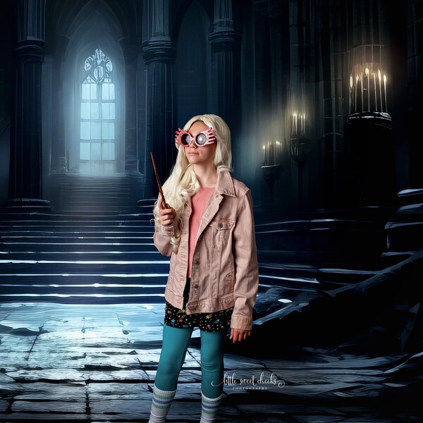 148 Wizardry School Digital Backdrop Magical Wizard Photography ...