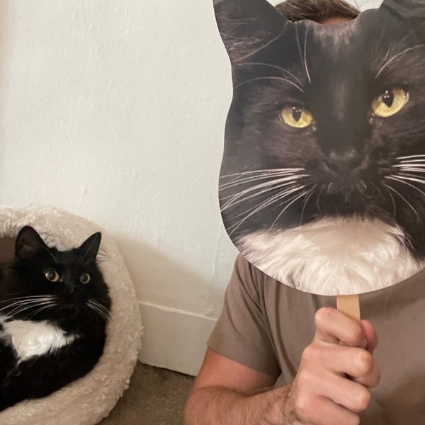 120 Anime Meme Animated Emote Pack for Youtube, Twitch, Discord, Tiktok ...