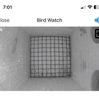 Noel Guard Jig to Make Your Own 9 X 13 X 0.5 - Etsy