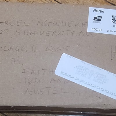 White Kola Nuts/ 5 Pieces - Etsy