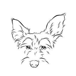 Custom Pet Ear Outline Drawing Dog Ear Drawing Pet Ear - Etsy