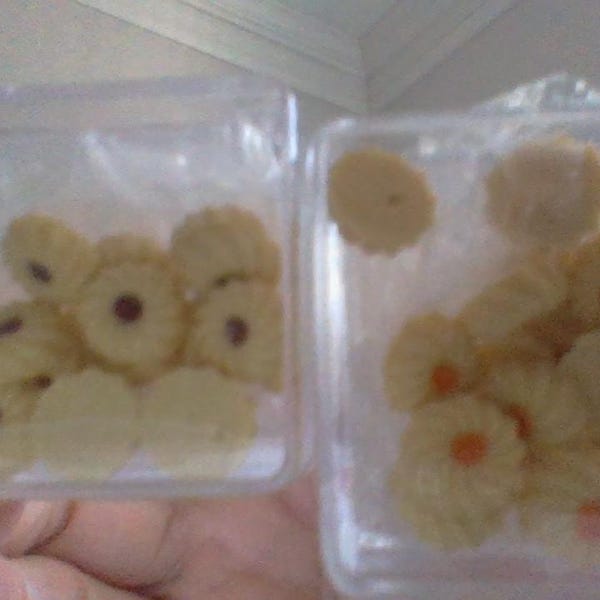 10 Boxes Cases Containers Container Storage Clear Plastic Display Cute ...