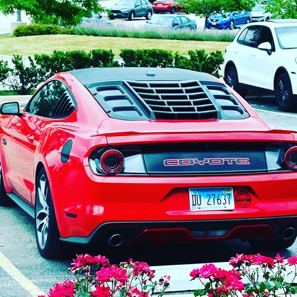 Mustang GT 2 Tone "coyote" Decklid Decal - Etsy