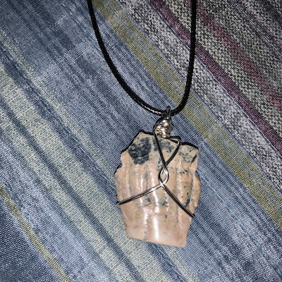 Large Fossilized Cone Shell - Etsy