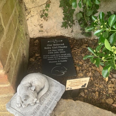 Funny Weather Forecasting Stone Natural Slate Sign Ideal - Etsy