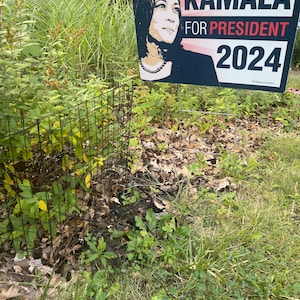 White Supremacy is Terrorism Bumper Sticker // 6x4.5 // Protective ...