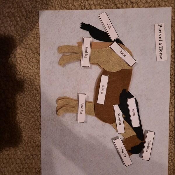 CANADA 3D Paper Model CN Tower Landmark Toronto Ontario Diorama W ...