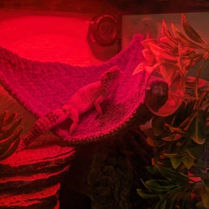 Crochet Pattern Leopard Gecko Hide, Succulent Crochet Pet Cave ...