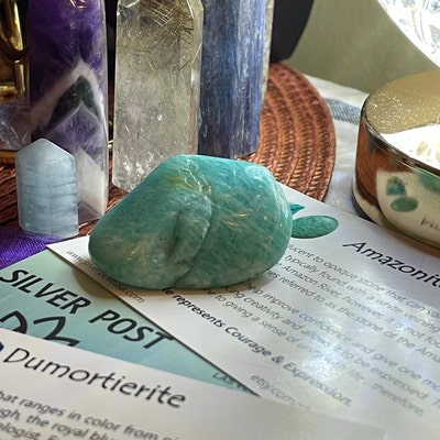 Zebra Onyx Small T-rex Stone Carving, Polished Tyrannosaurus Rex ...